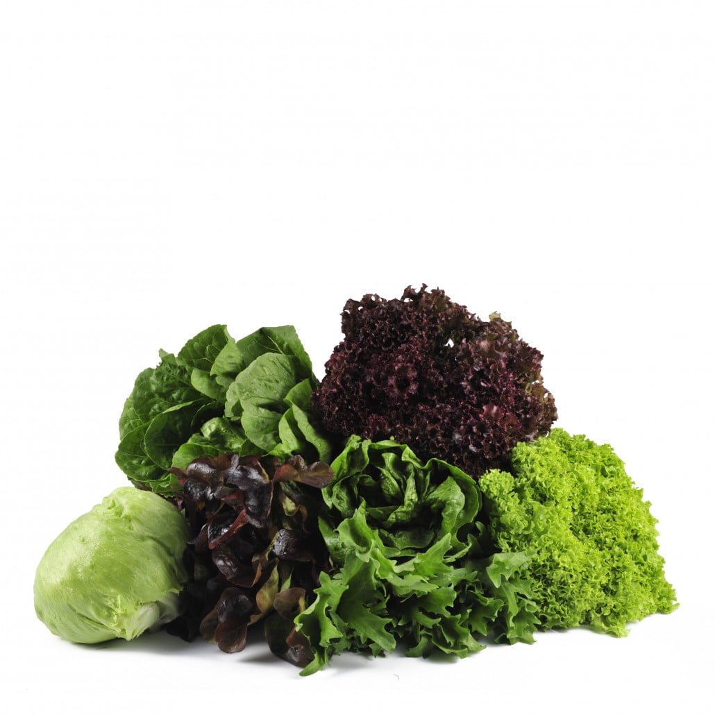 Slasoorten - Paul Leegwater