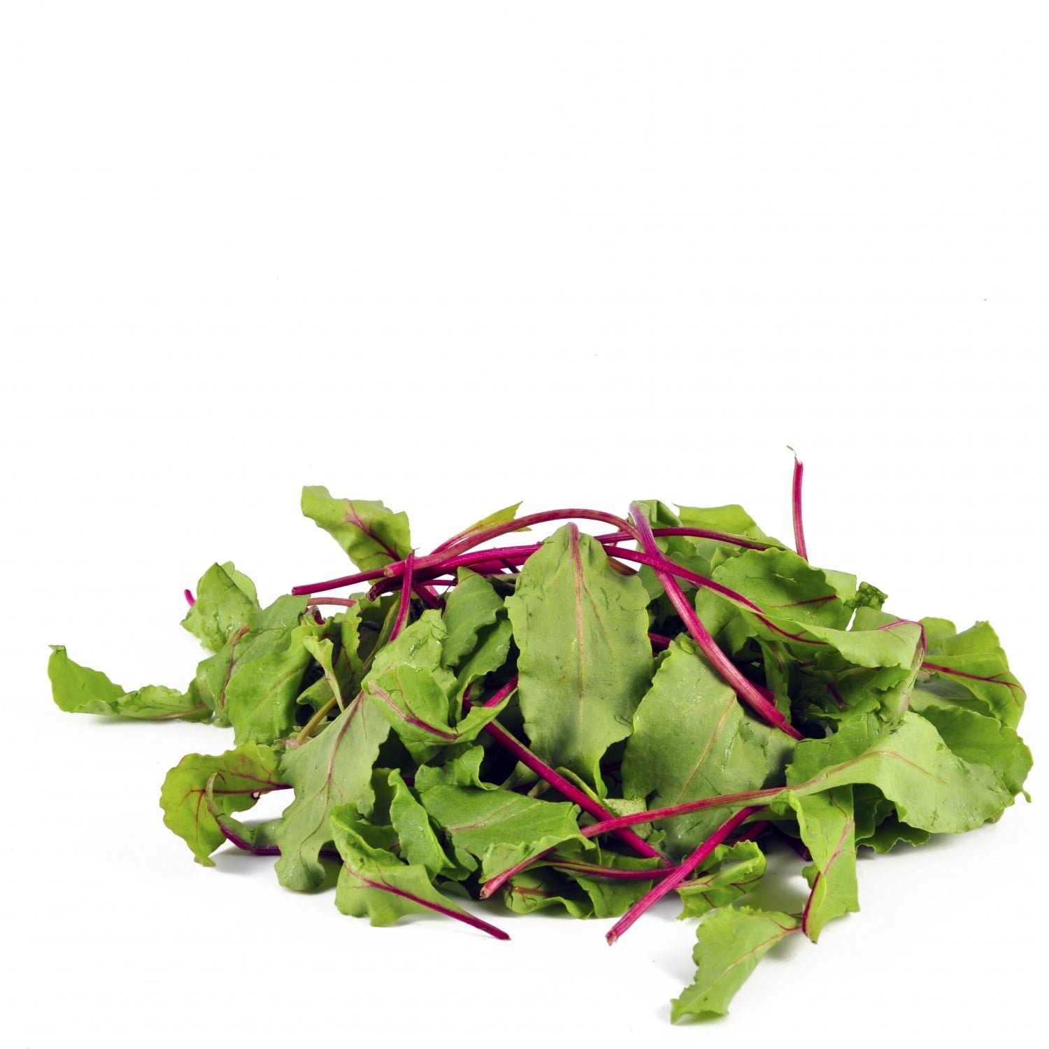 Lettuces - Paul Leegwater