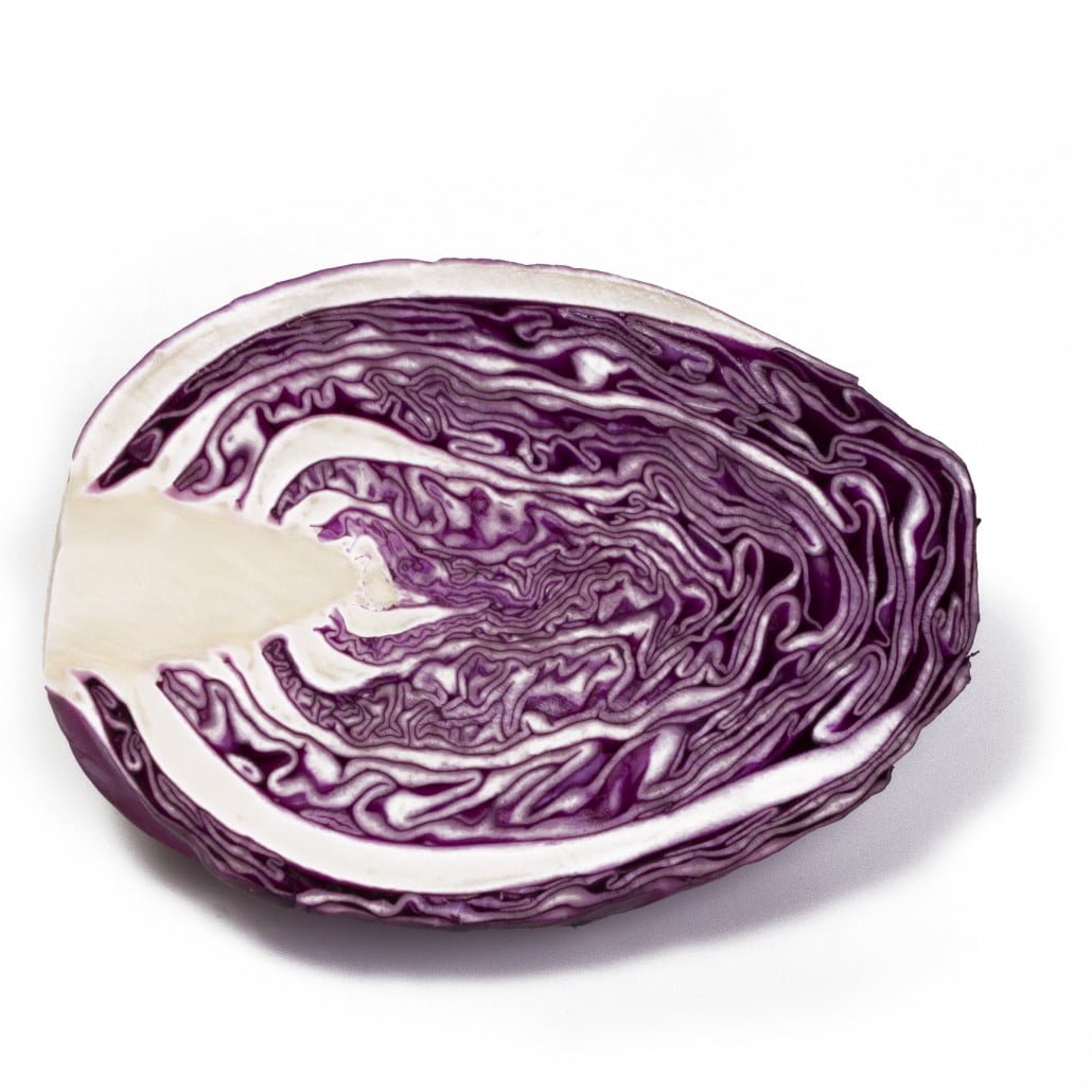 rode spitskool helft - Paul Leegwater