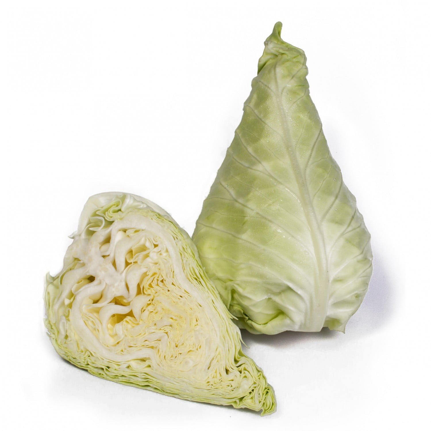 White pointed cabbage - Paul Leegwater