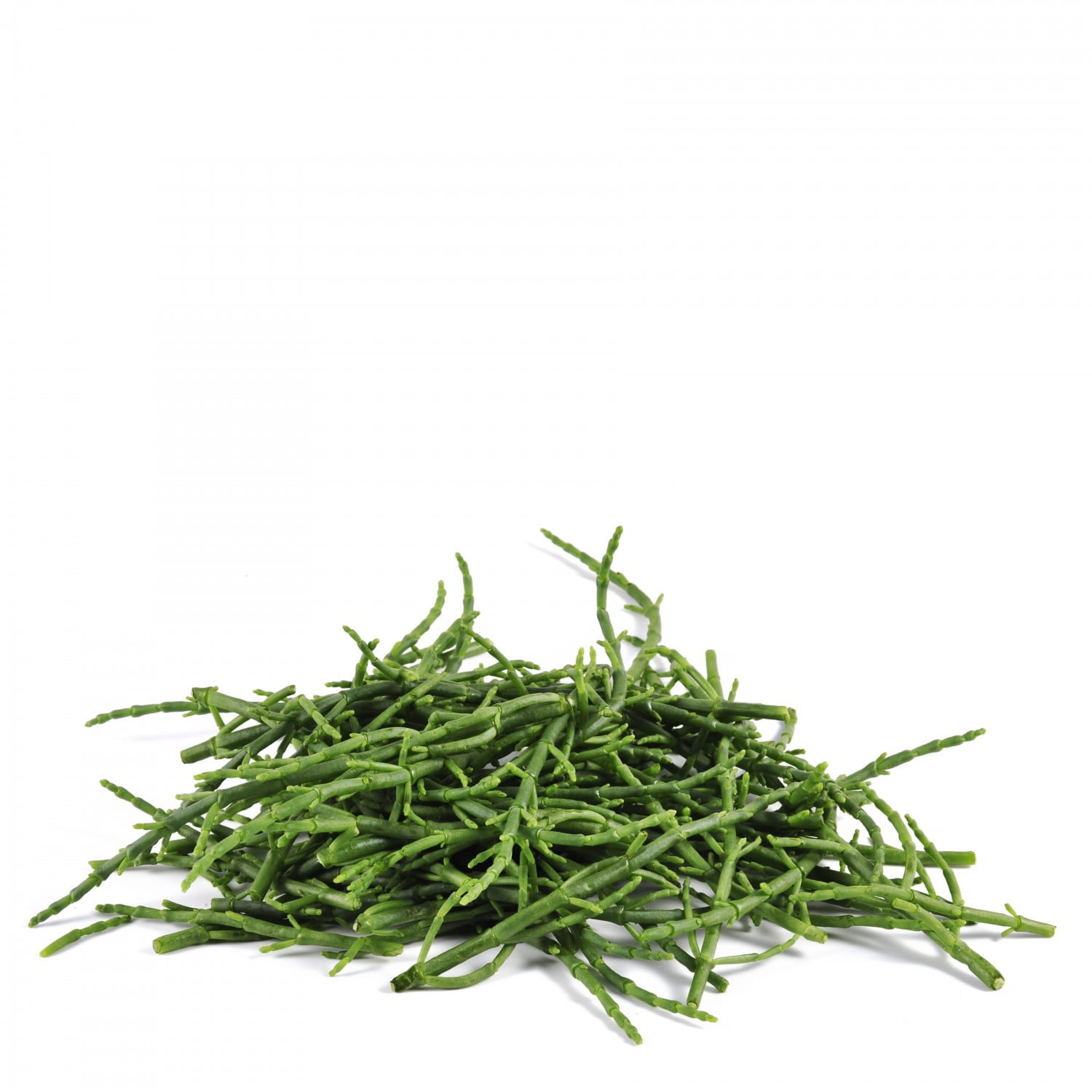 Exotische groenten - Paul Leegwater