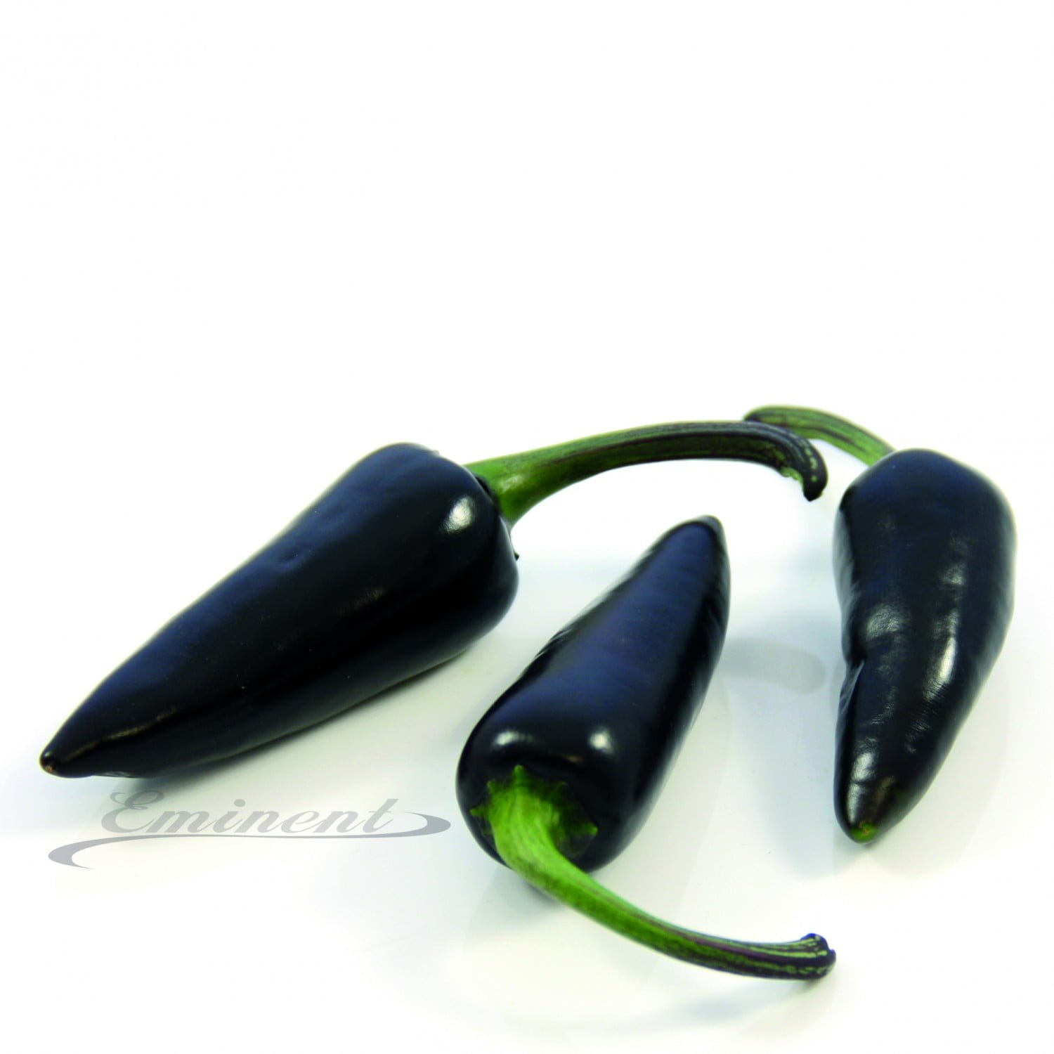 Pepers - Paul Leegwater