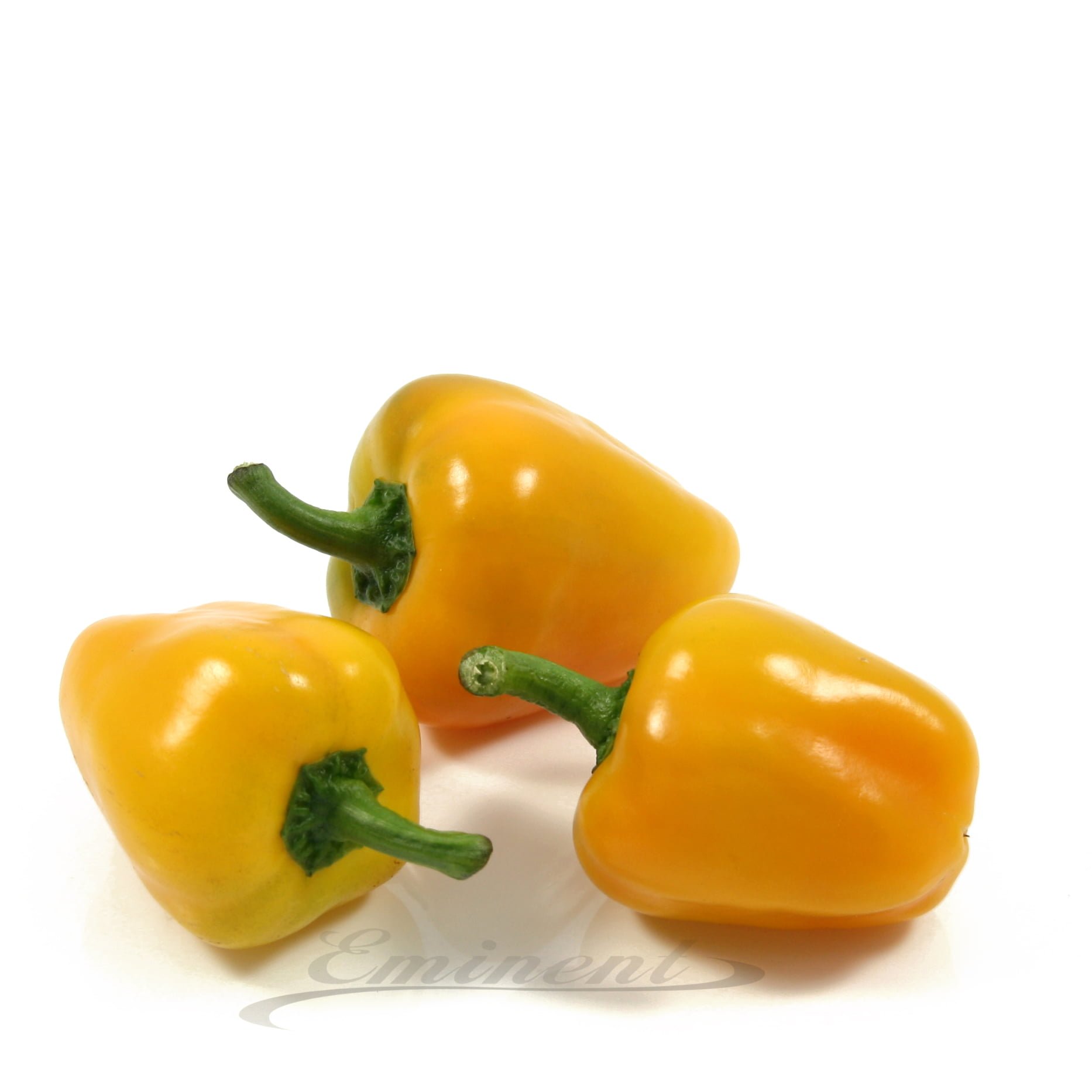 Paprika's - Paul Leegwater